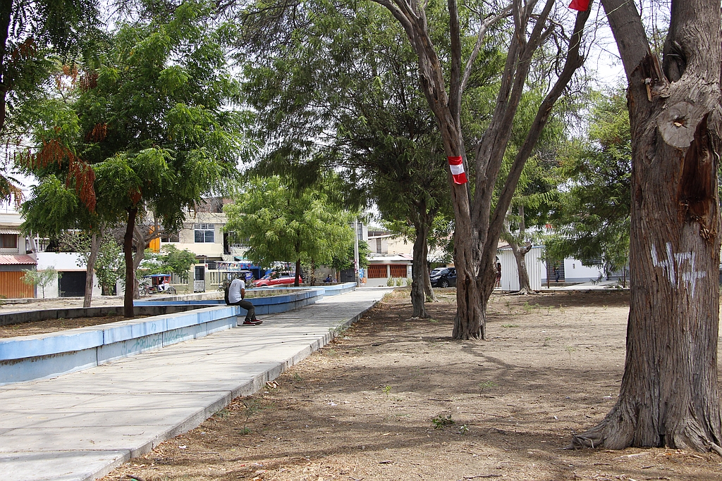Medio Ambiente - Norte Sostenible